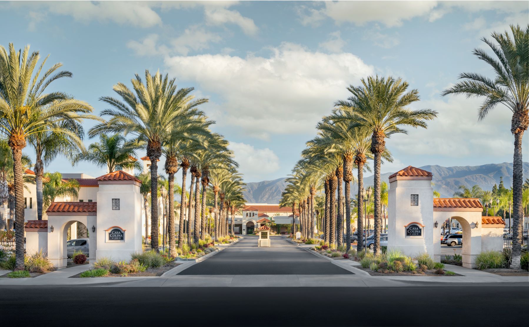 New Regenerative Patch a Game Changer for Diabetic Wound Treatment