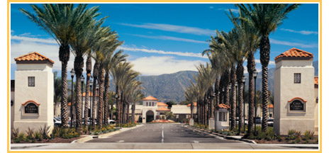 Casa Colina Hospital Receives Outstanding Patient Experience Award for ...